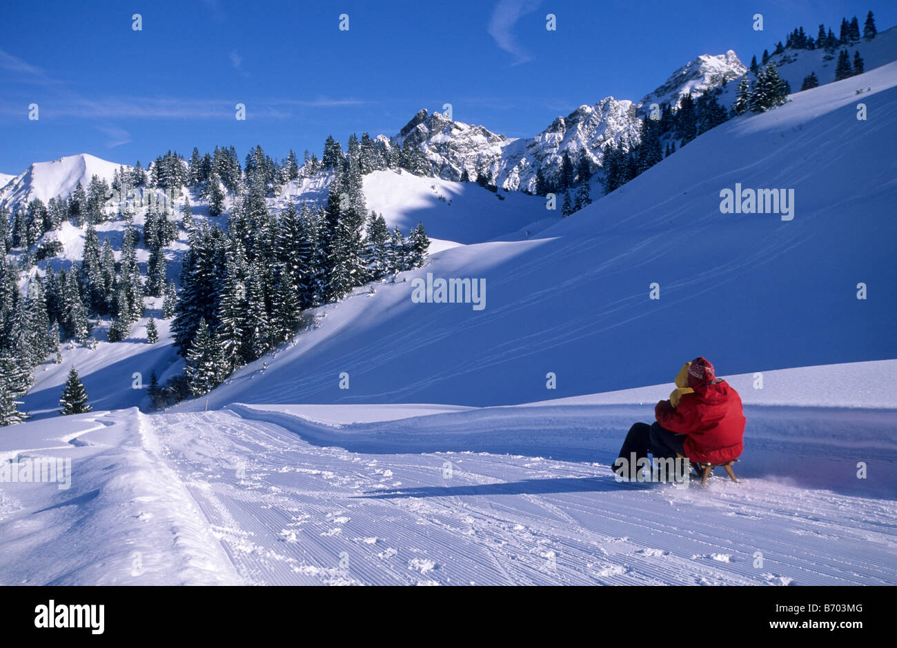 sledging at hut Unterpartnomalpe, Sonnntag, Vorarlberg, Austria Stock ...