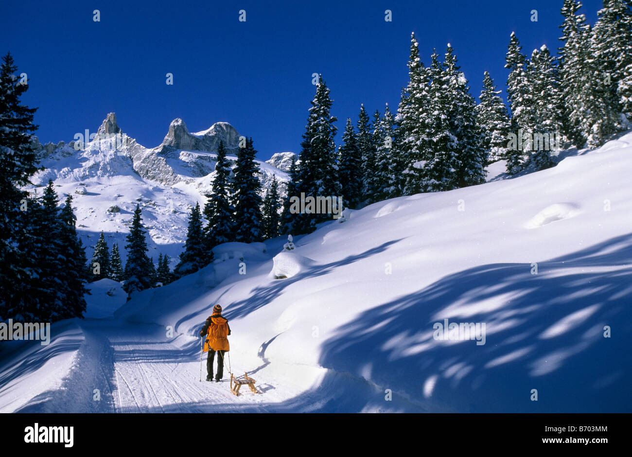 sledging at hut Lindauer Huette, Raetikon range, Vorarlberg, Austria ...