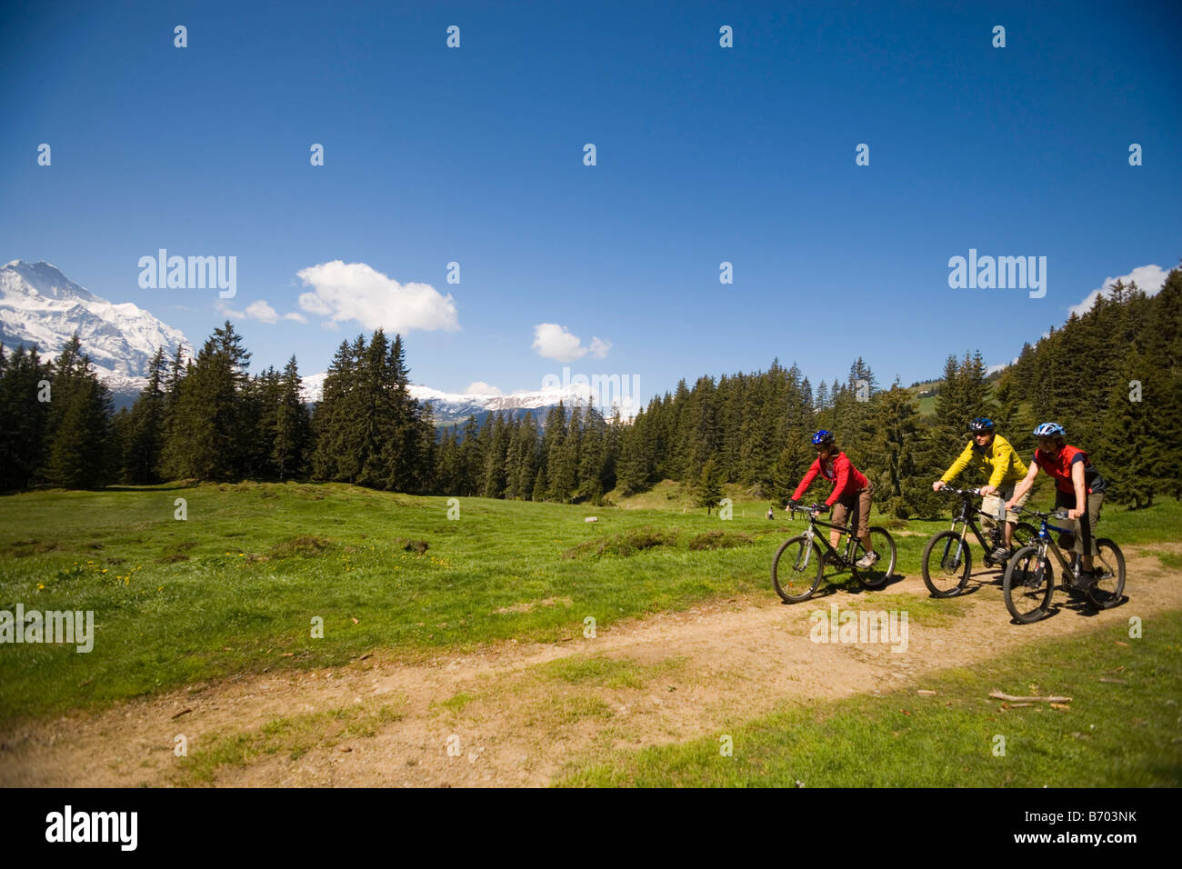 Three people riding mountain bikes at Bussalp (1800 m), v Grindelwald ...