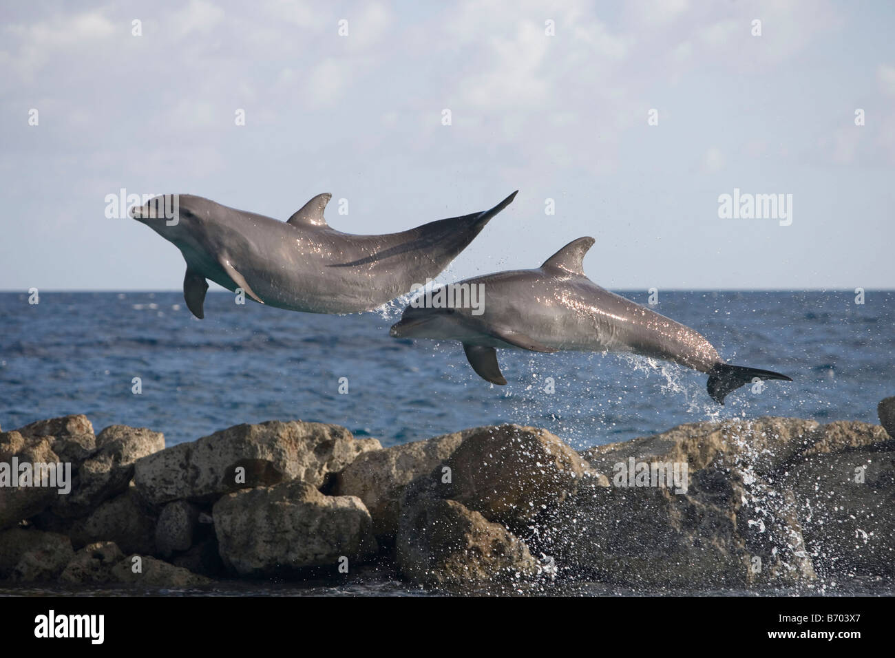 Bapor kibra hi-res stock photography and images - Alamy