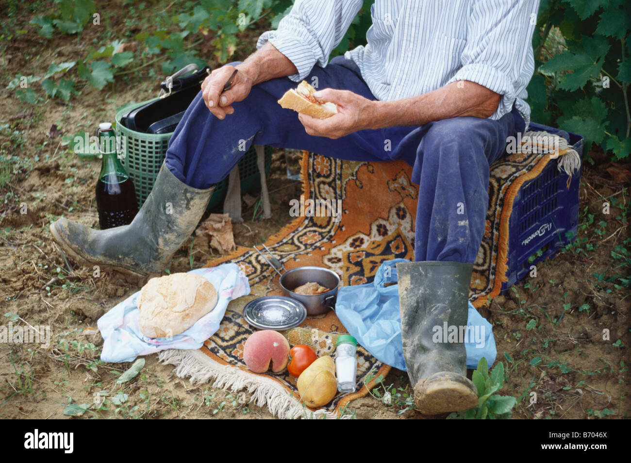 Man, vintner, having lunch, picnic, Landscape, Rural Landscape ...