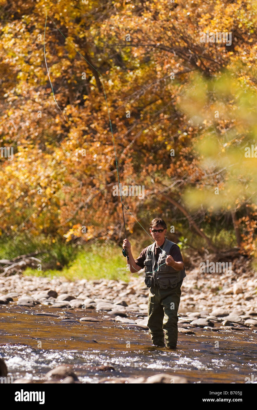 A man fly fishing in the Cache La Poudre River in autumn near Fort ...