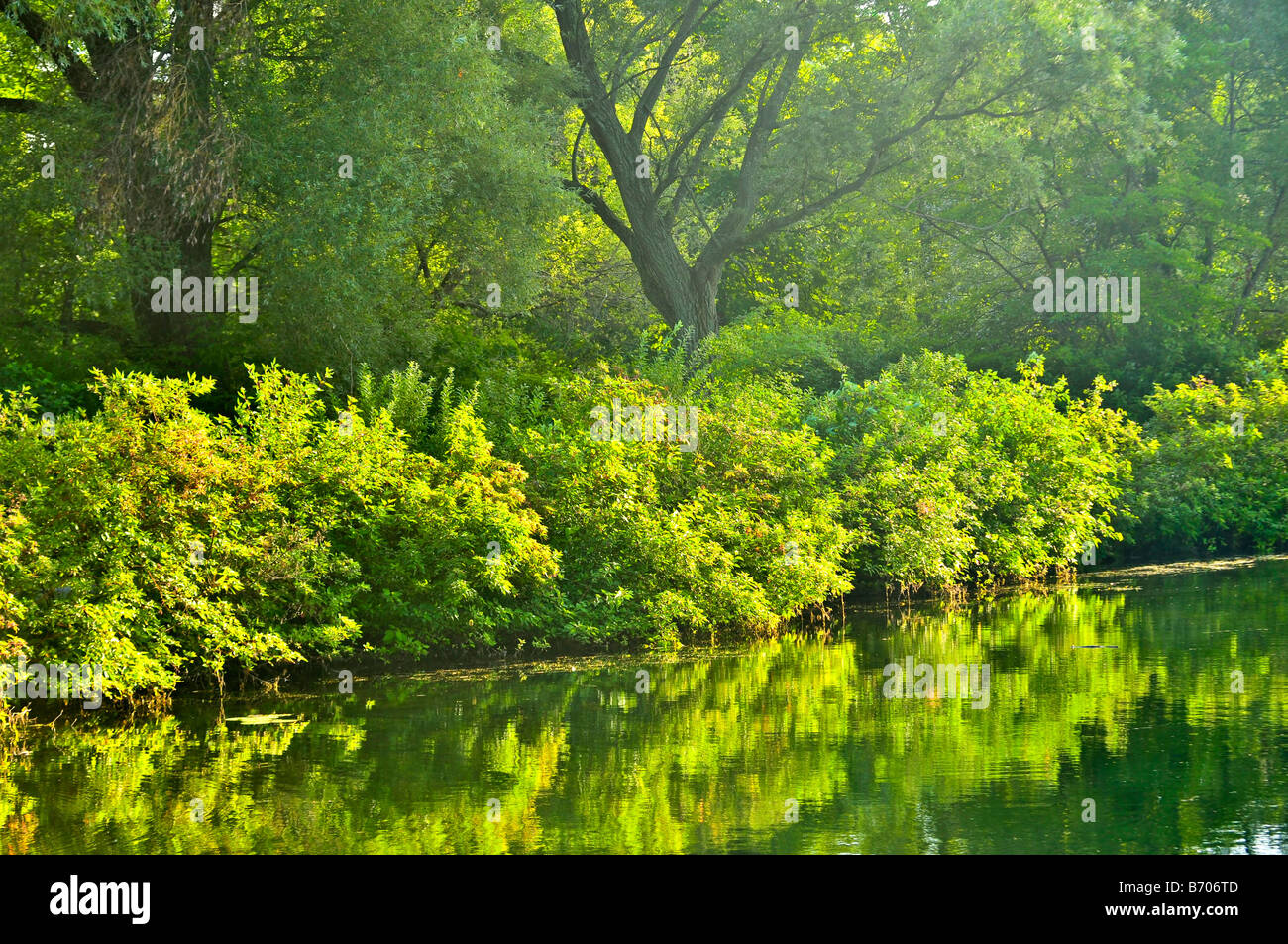 Pond river calm calmness surface of water hi-res stock photography and ...