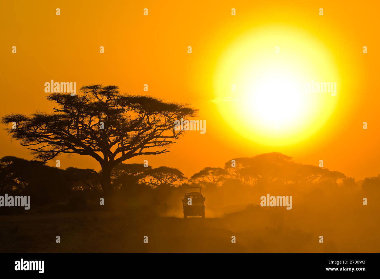 Real African Safari Sunset