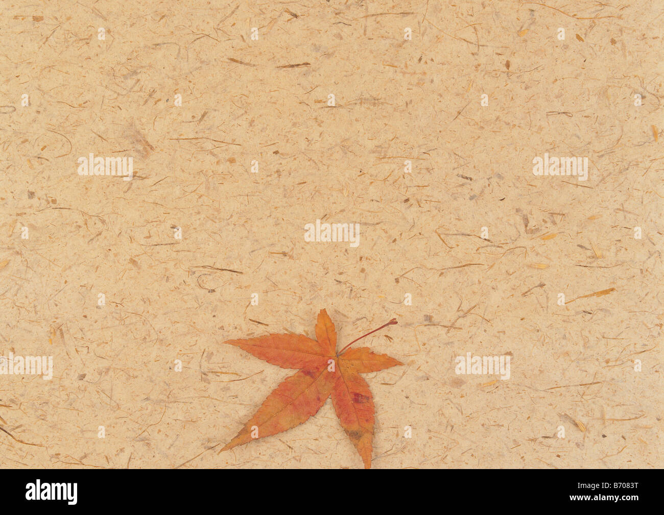 Maple leaf on recycle paper Stock Photo - Alamy