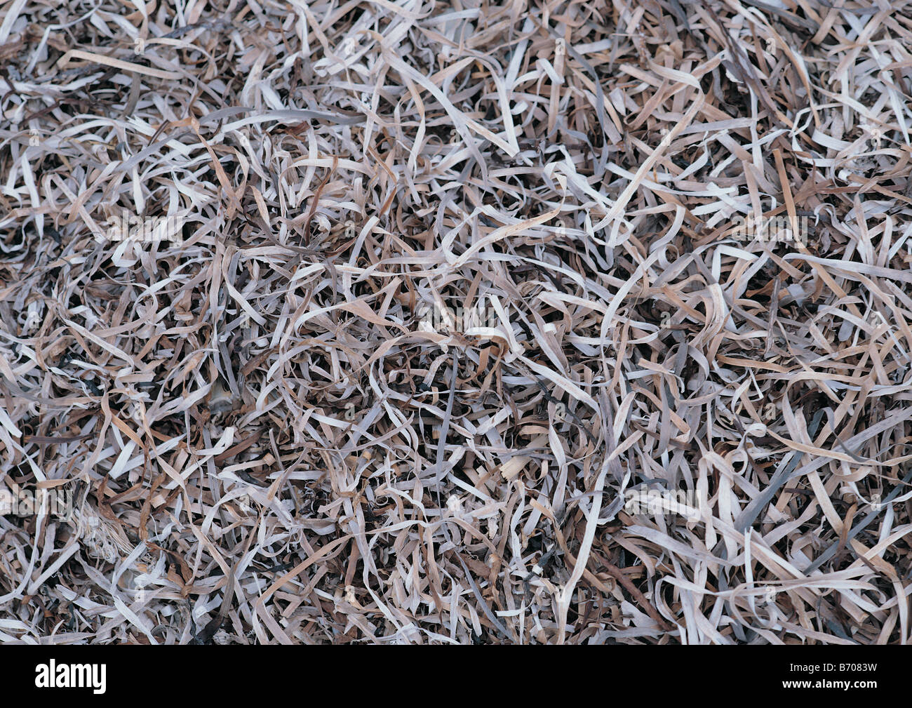 Striped paper in desorder Stock Photo - Alamy