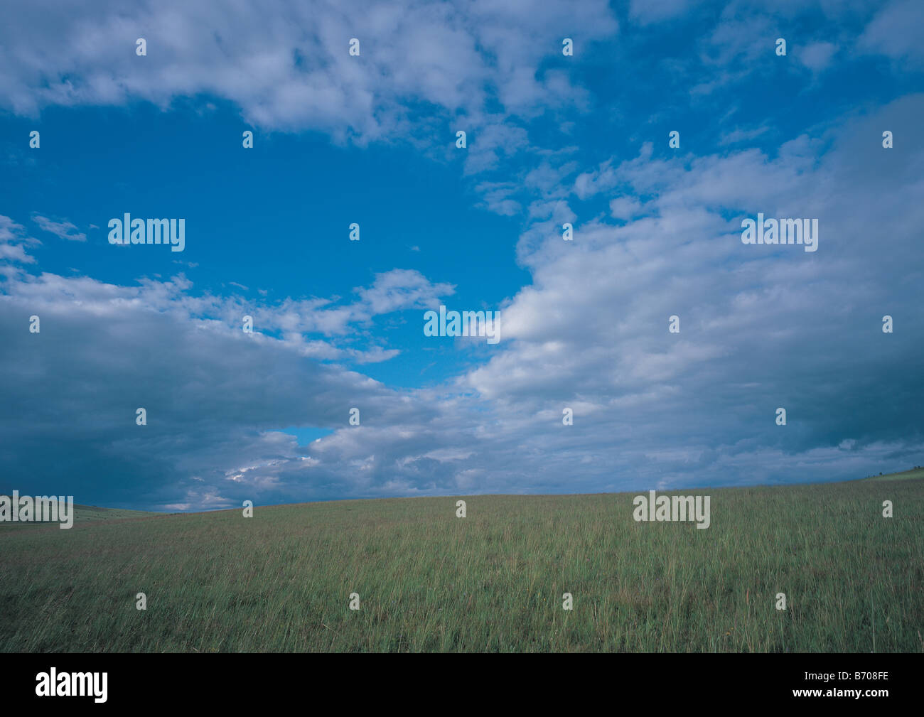 Plain and cloud in windy day Stock Photo - Alamy