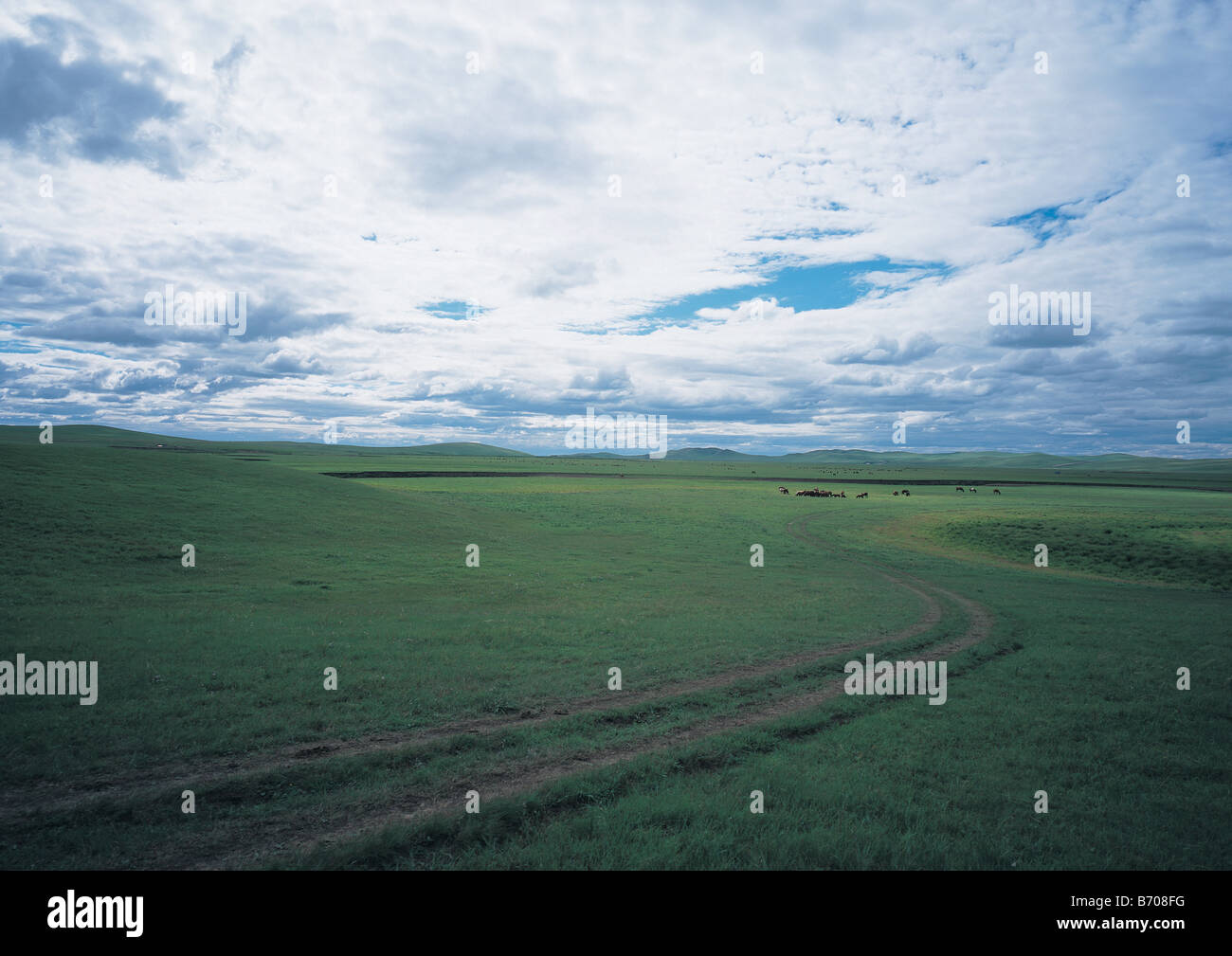 White plain road hi-res stock photography and images - Alamy