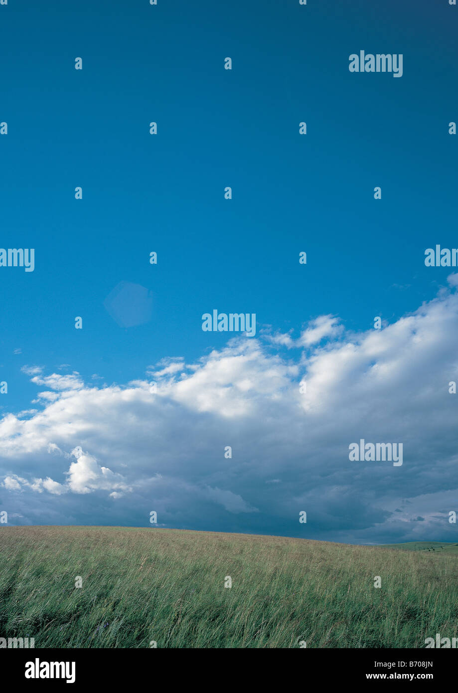 Plain under cloudy sky Stock Photo - Alamy