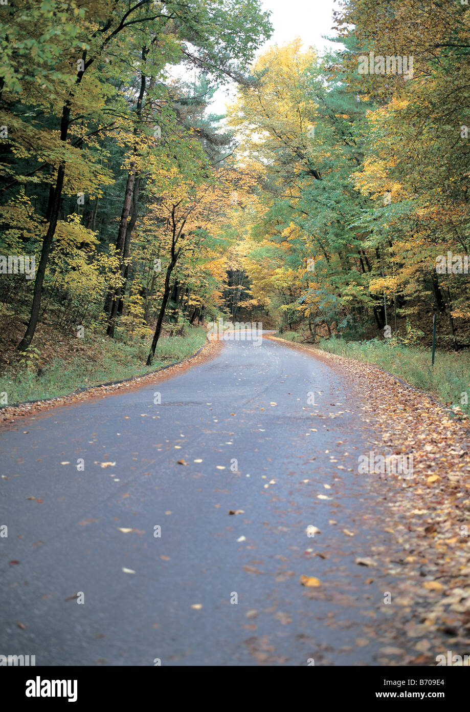 Outdoor leaf landscape hi-res stock photography and images - Alamy