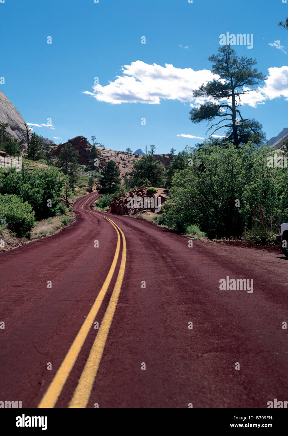driveway in a forest Stock Photo - Alamy