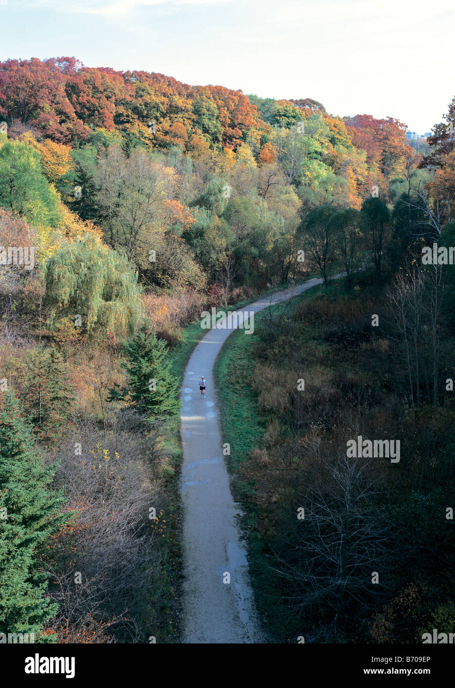 driveway in a forest Stock Photo - Alamy