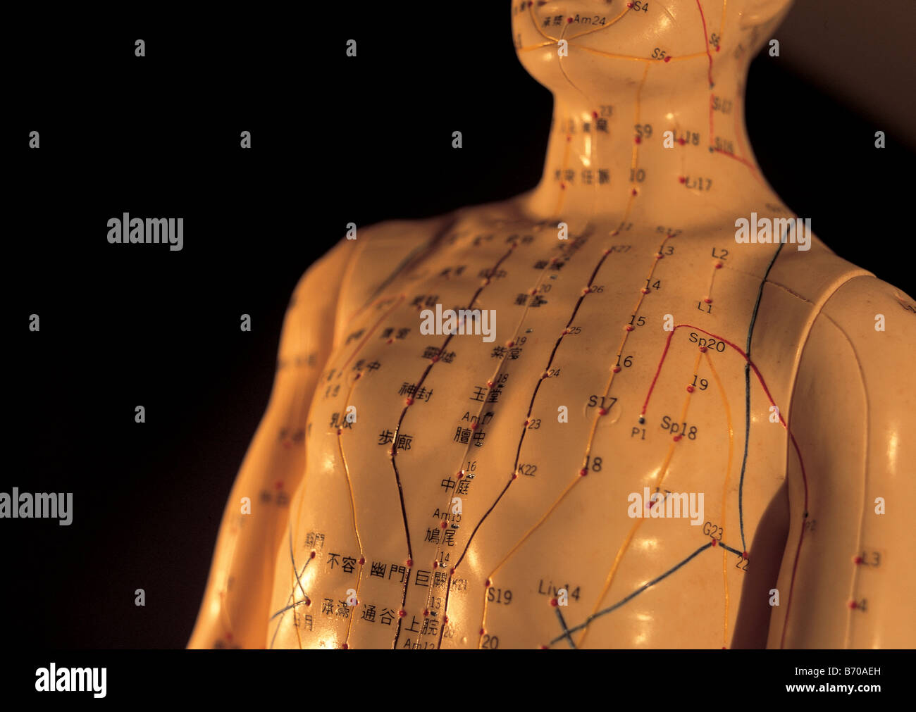 Human in technology hi-res stock photography and images - Alamy