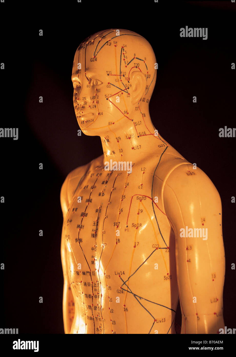 Vital point of human Stock Photo - Alamy