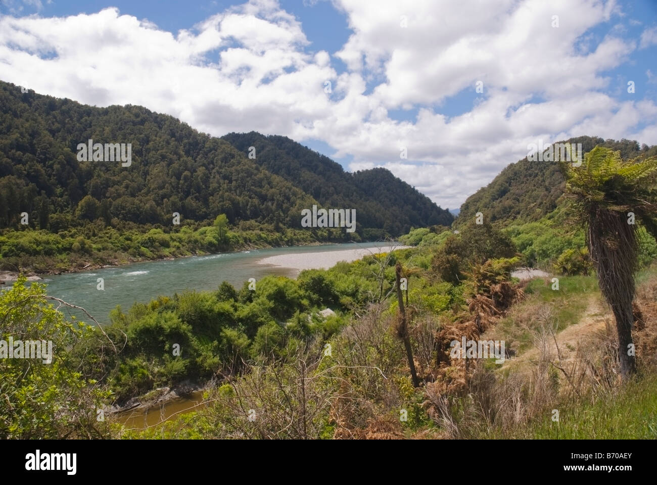 Buller Gorge South Island New Zealand Stock Photo - Alamy