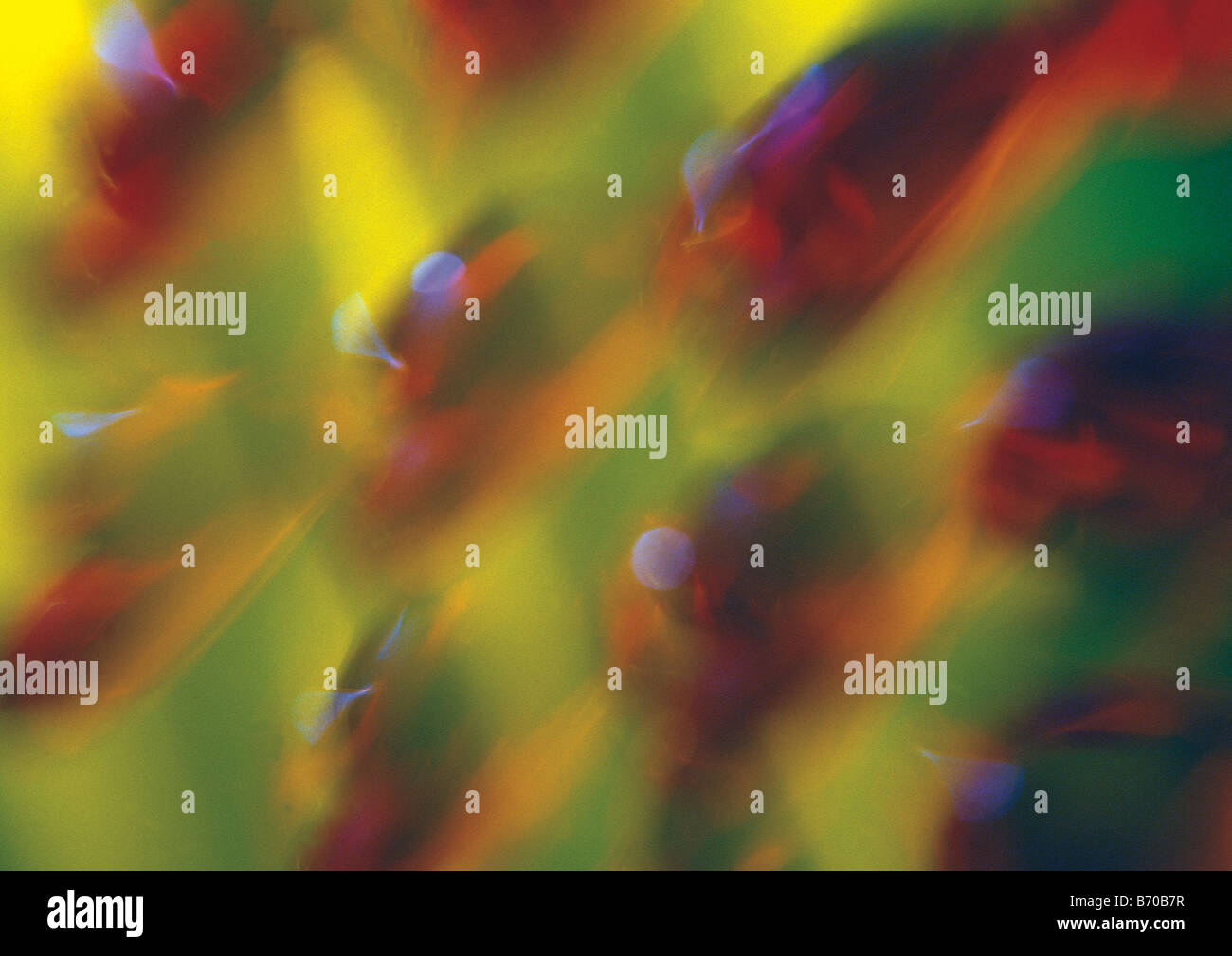 Close-up of motion with colorful light Stock Photo - Alamy