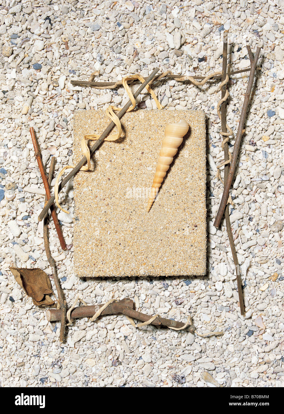 Branches form a frame Stock Photo - Alamy