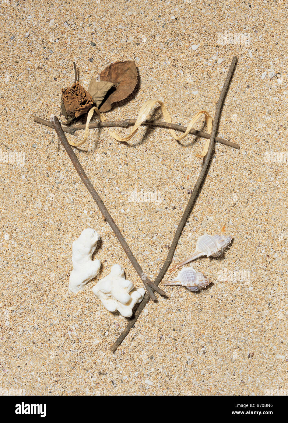 Branches and shells form a triangle Stock Photo - Alamy
