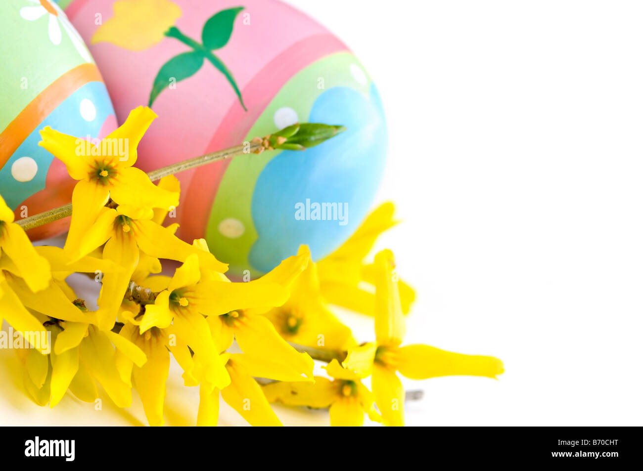 Easter eggs arrangement with spring flowers isolated on white ...