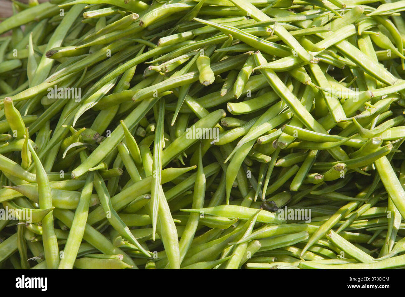 Close-up of a heap of beans Stock Photo - Alamy