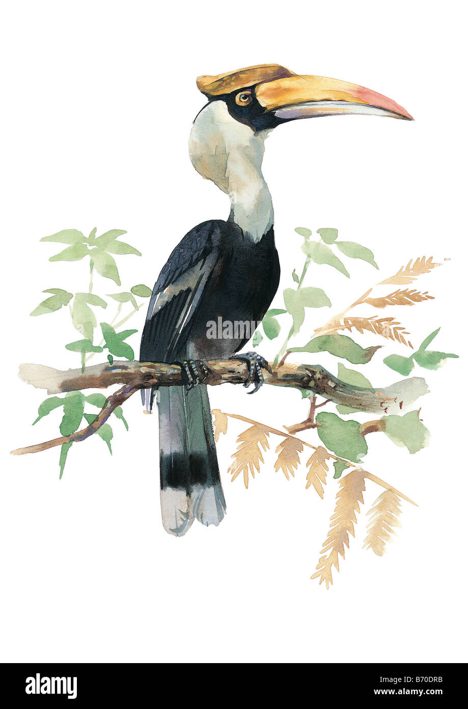 Bird on a branch Stock Photo - Alamy