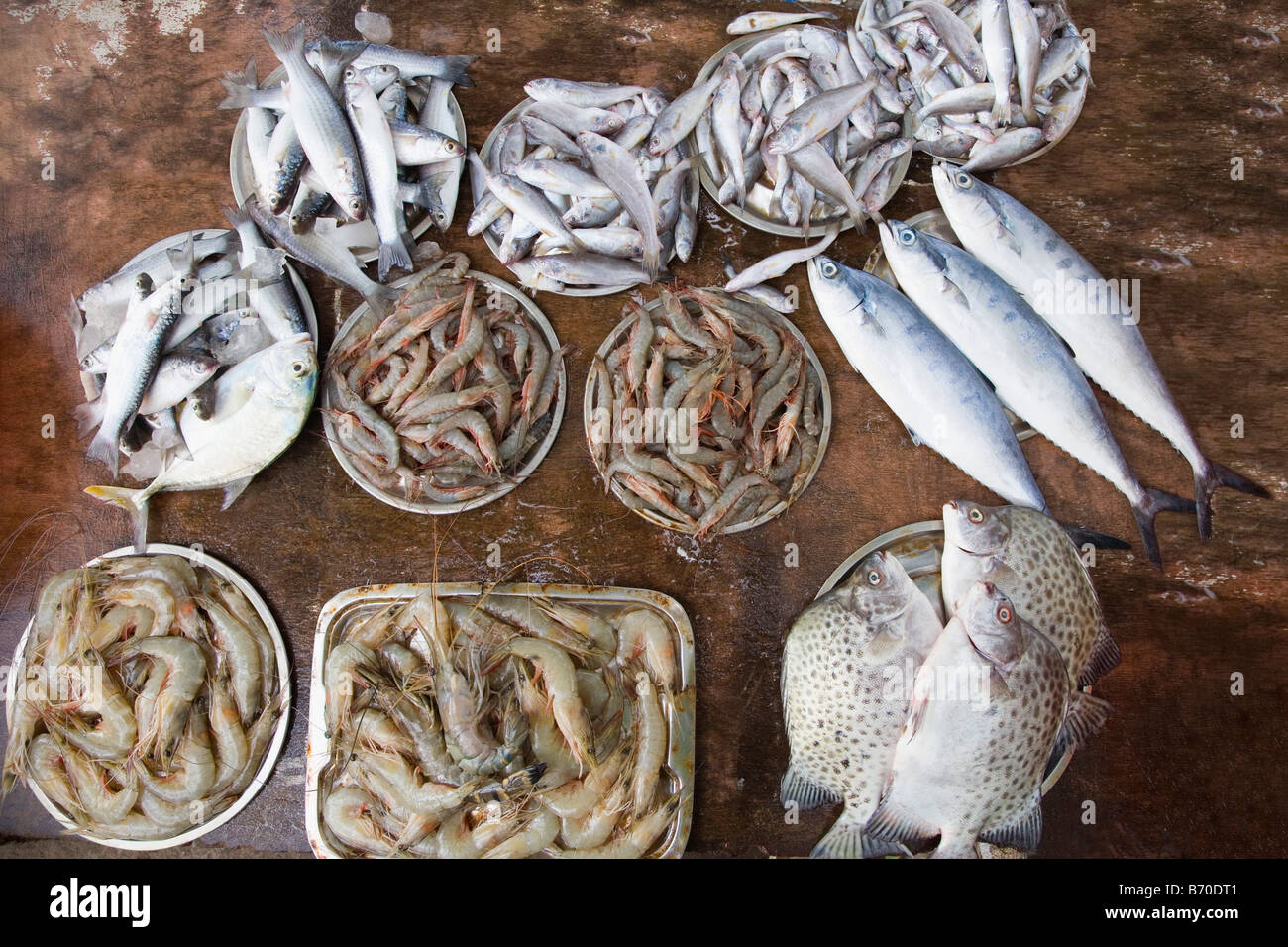 High angle view of dead fish at a market stall, Cochin, Kerala, India ...