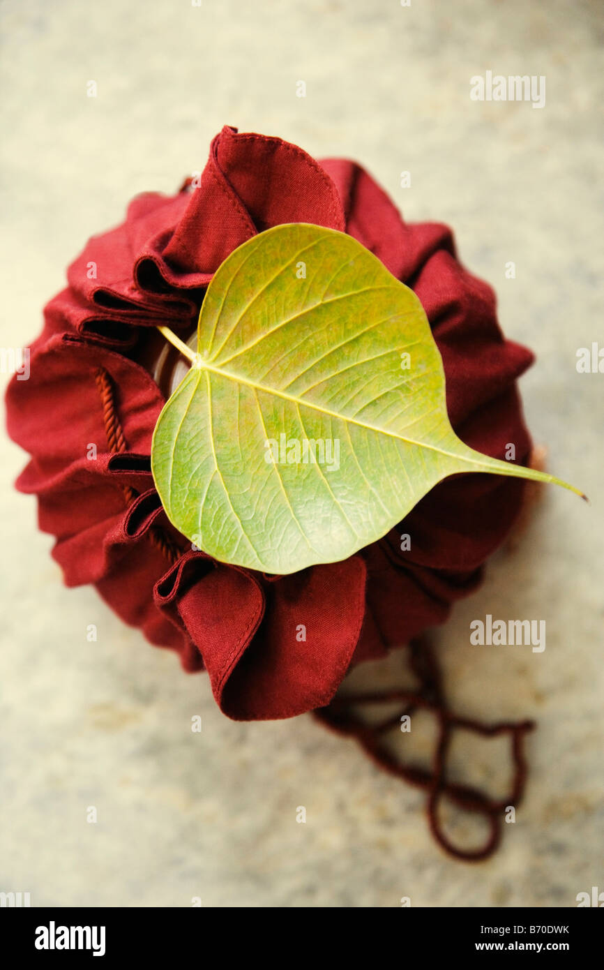Sacred fig leaf hi-res stock photography and images - Alamy