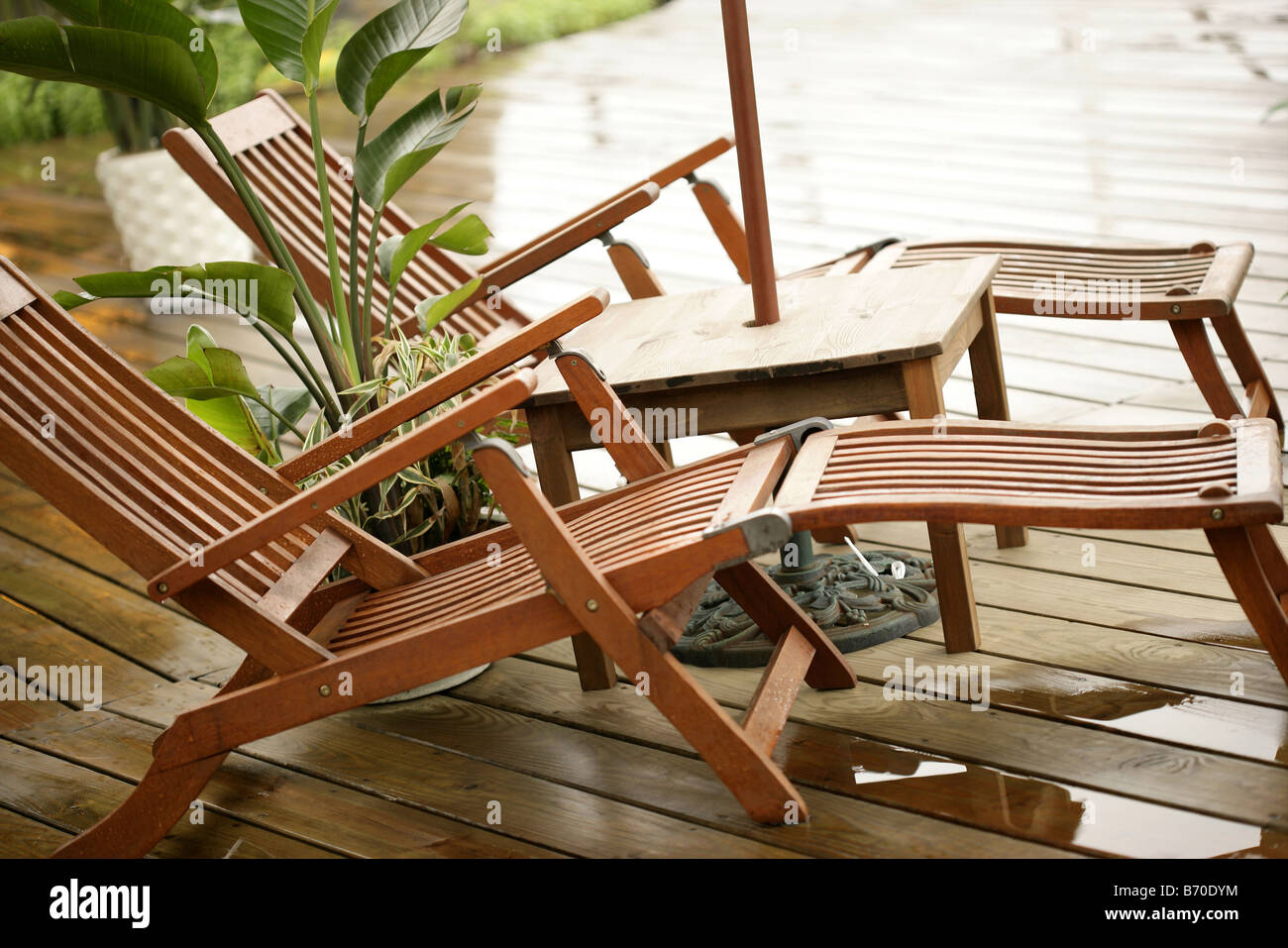 SPA Couch Pot plant Stock Photo - Alamy