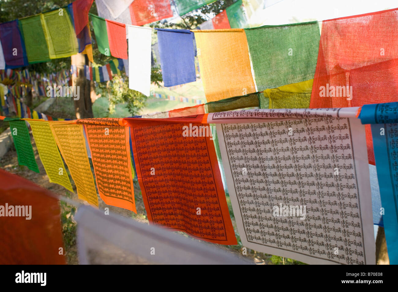 Bihar flag hi-res stock photography and images - Alamy