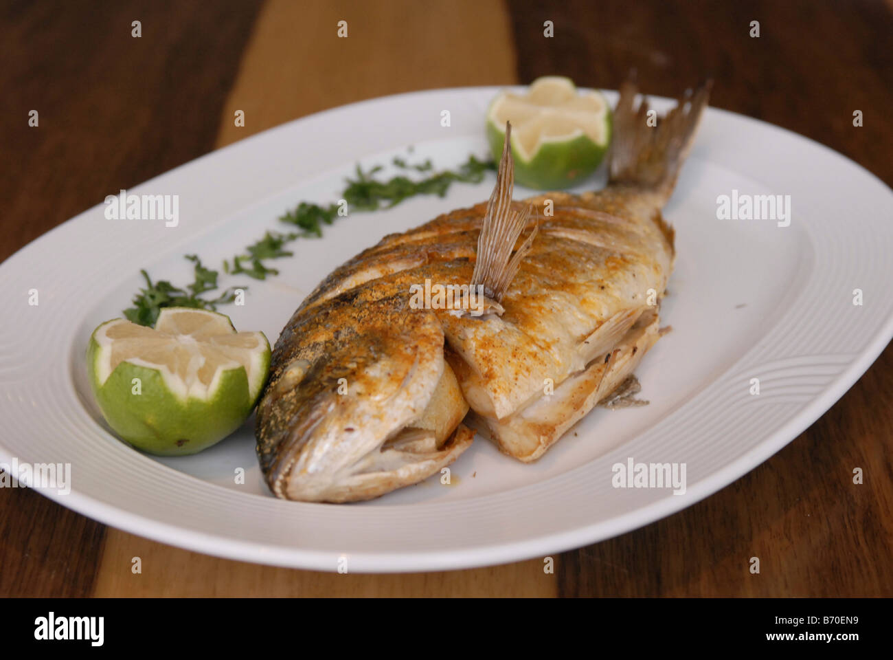 Dish of fish hi-res stock photography and images - Alamy