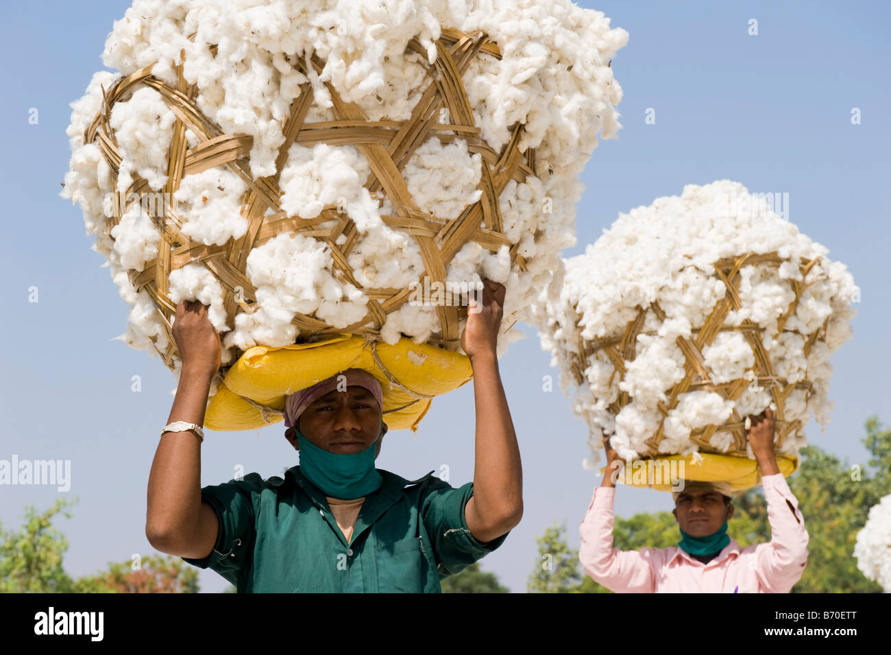 INDIA, Madhya Pradesh, Indore , Mahima ginning factory for fair trade ...