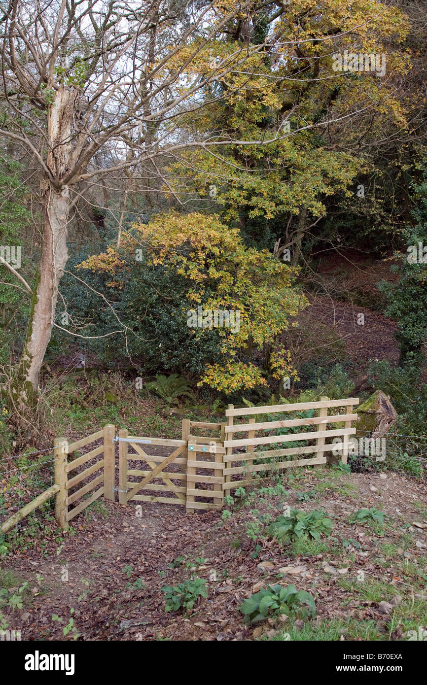 path through kestle farm cornwall Stock Photo - Alamy