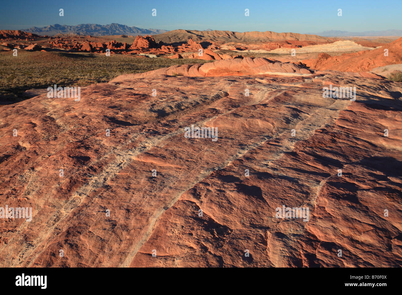 Lines lead into the Valley of Fire Stock Photo - Alamy