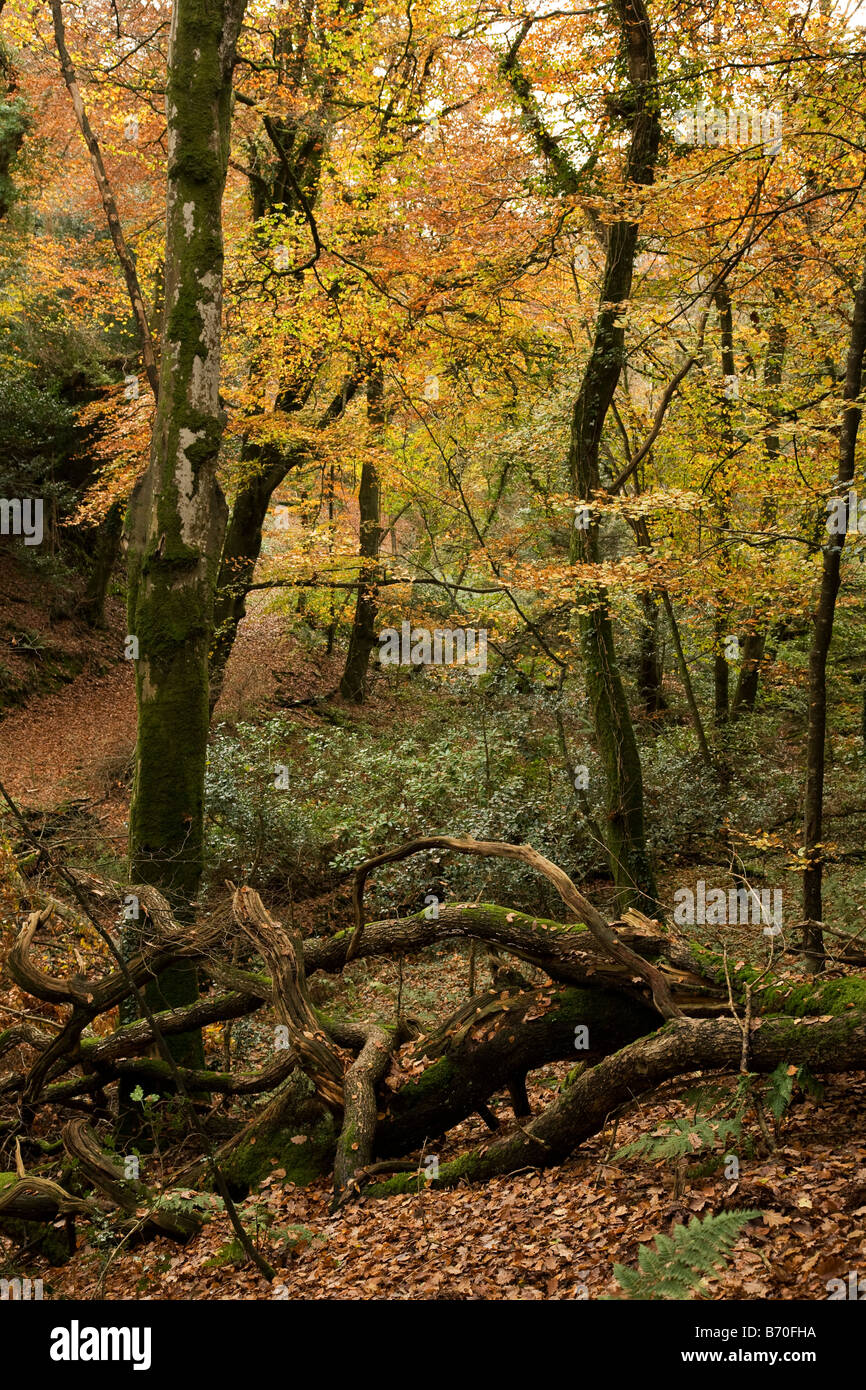 Kestle hi-res stock photography and images - Alamy