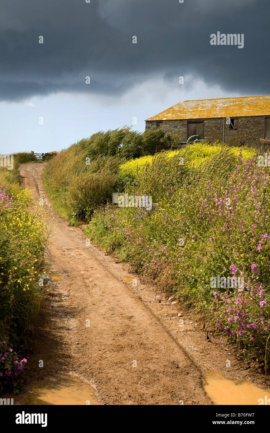 Track and cornish farm hi-res stock photography and images - Alamy