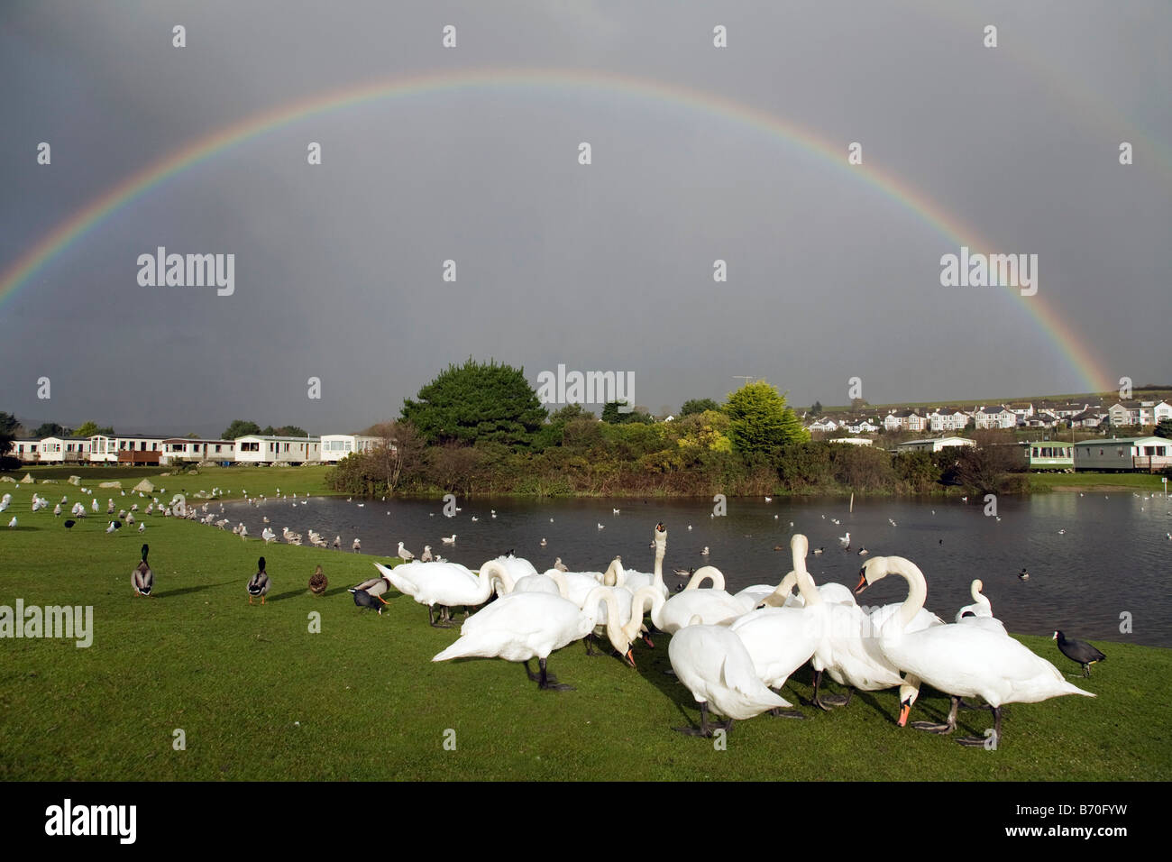 Feeding ducks at pond hi-res stock photography and images - Alamy