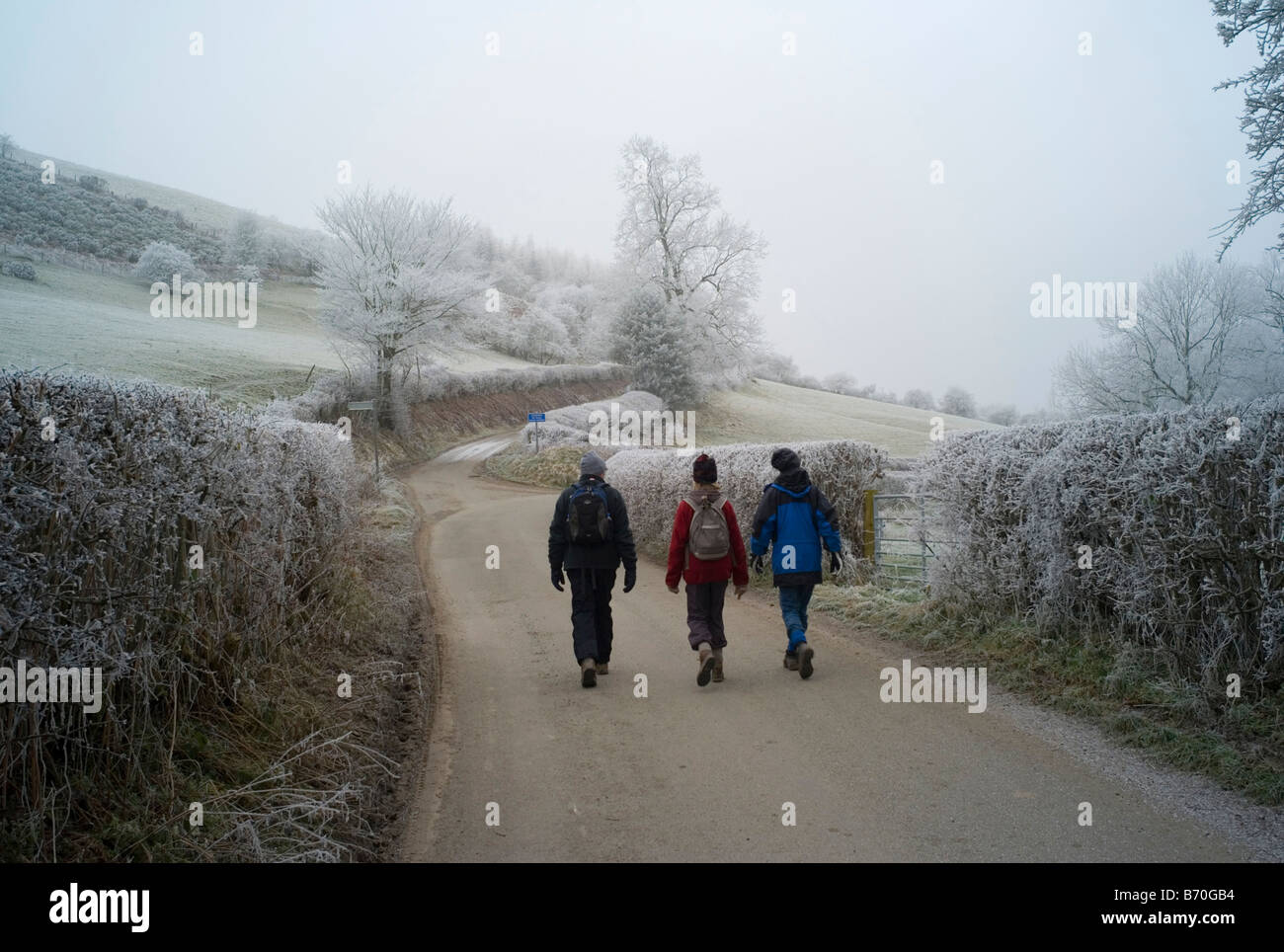 Frosty winter walk hi-res stock photography and images - Alamy