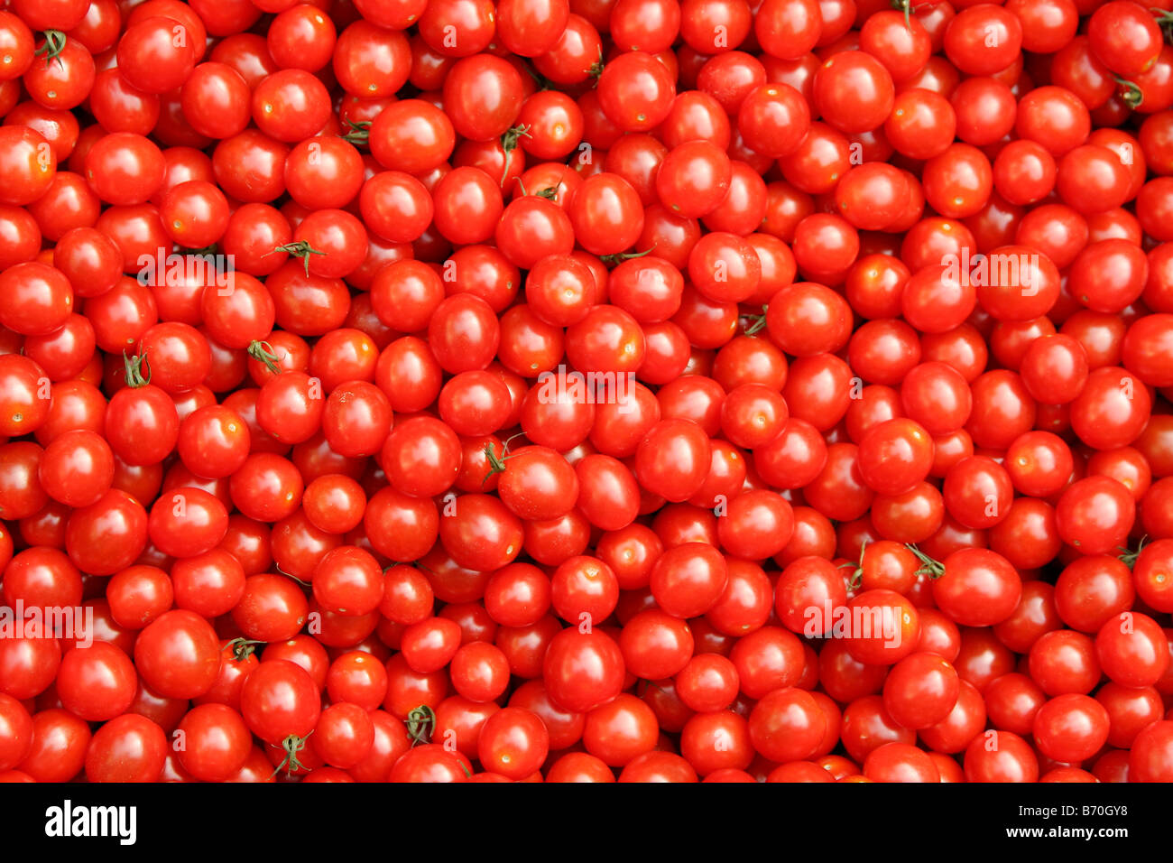 Heap of Red Mini Plum Tomatoes Stock Photo - Alamy