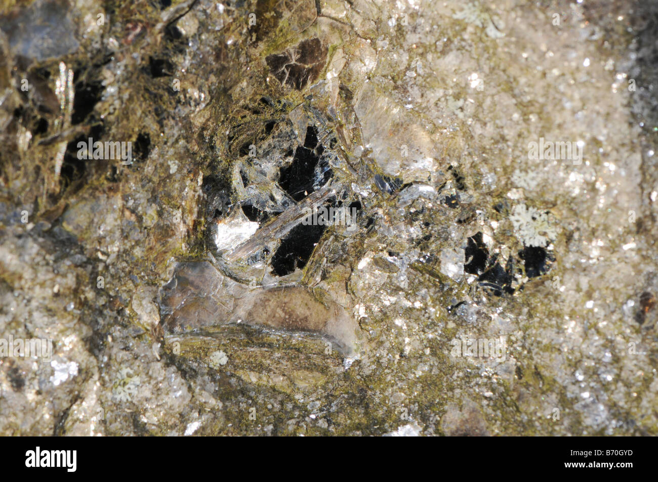 Biotite mica hi-res stock photography and images - Alamy
