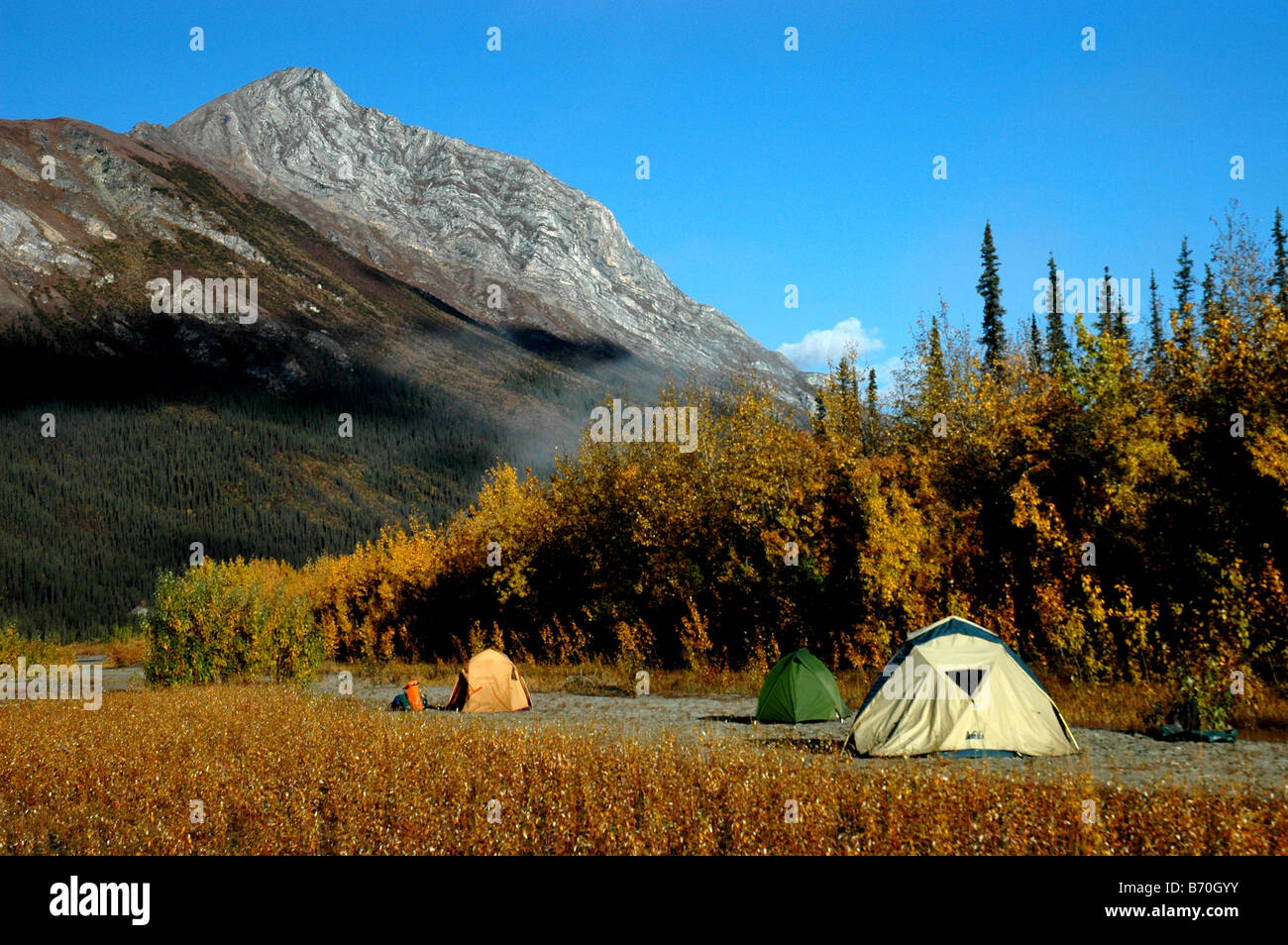 Tent camping along Alatna river Alaska Stock Photo - Alamy