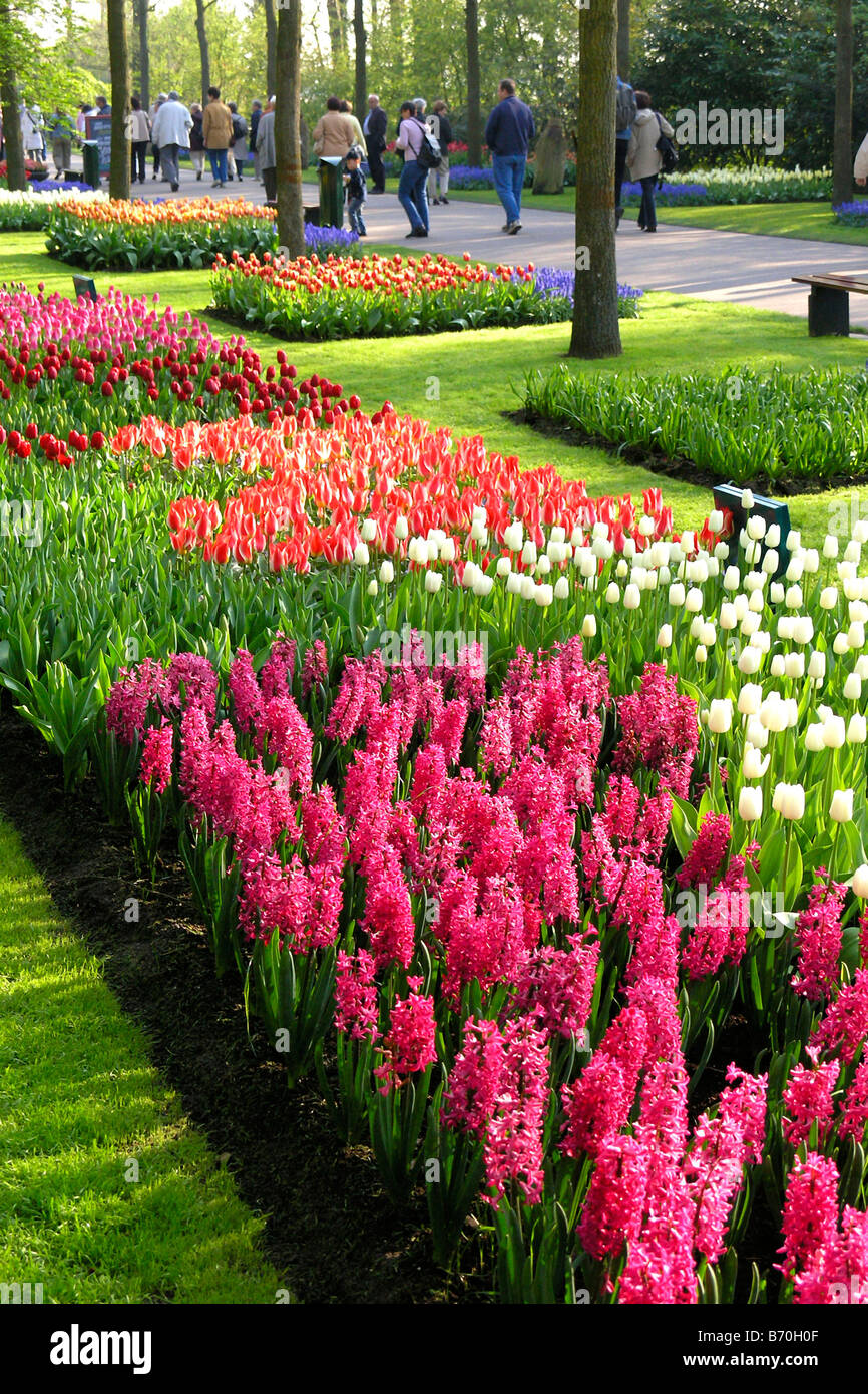 Keukenhof gardens in Lisse Netherlands Stock Photo - Alamy