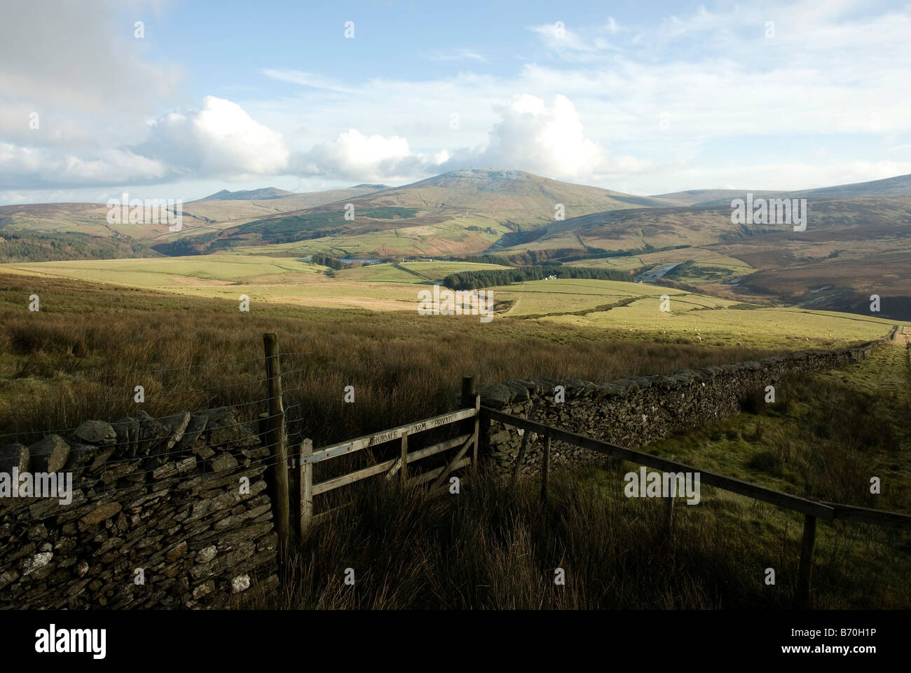 Snaefell mountain in the distance with Druidale in foreground on the ...