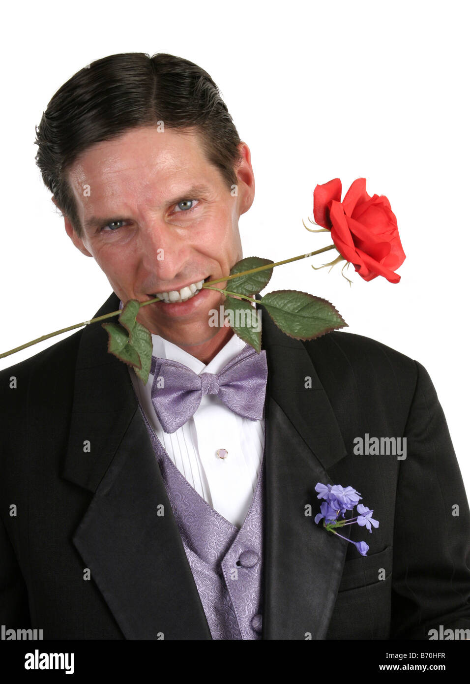 A handsome man in a tuxedo with a red rose between his teeth Stock ...