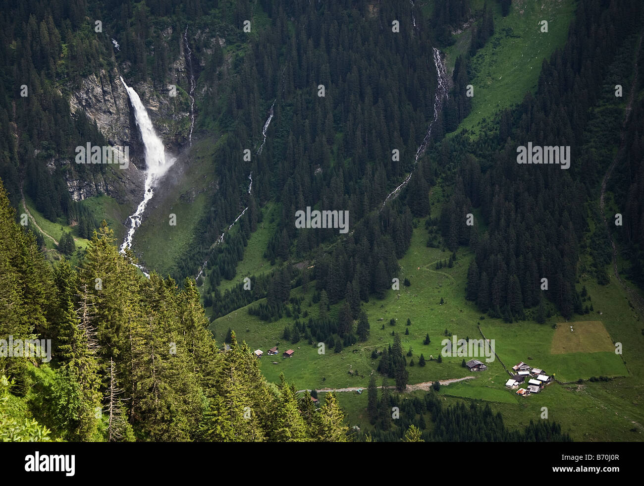 Asch hi-res stock photography and images - Alamy