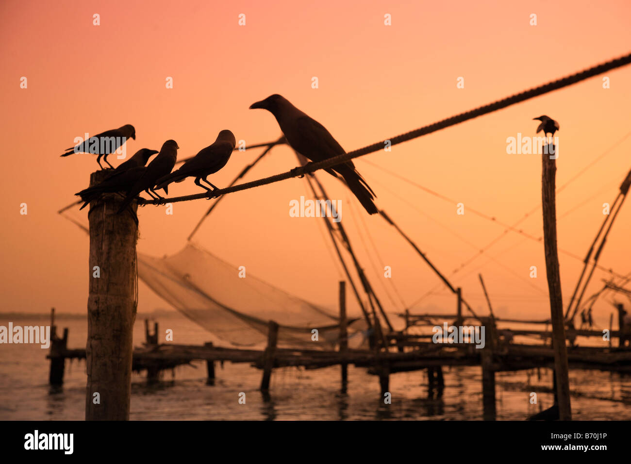 Crows of traditional Fishing nets Fort Cochin Kerala Stock Photo - Alamy