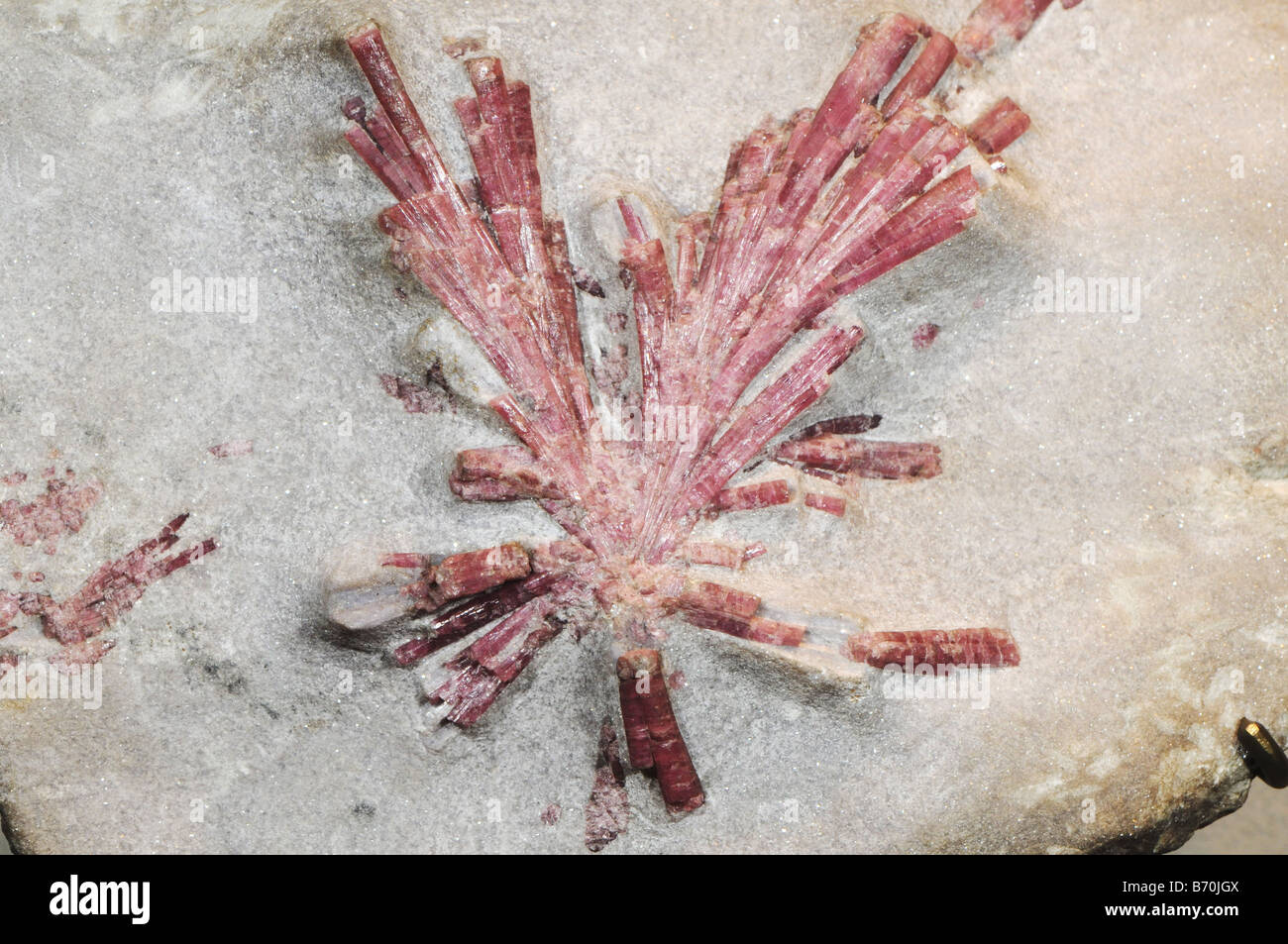 Potassium crystals hi-res stock photography and images - Alamy