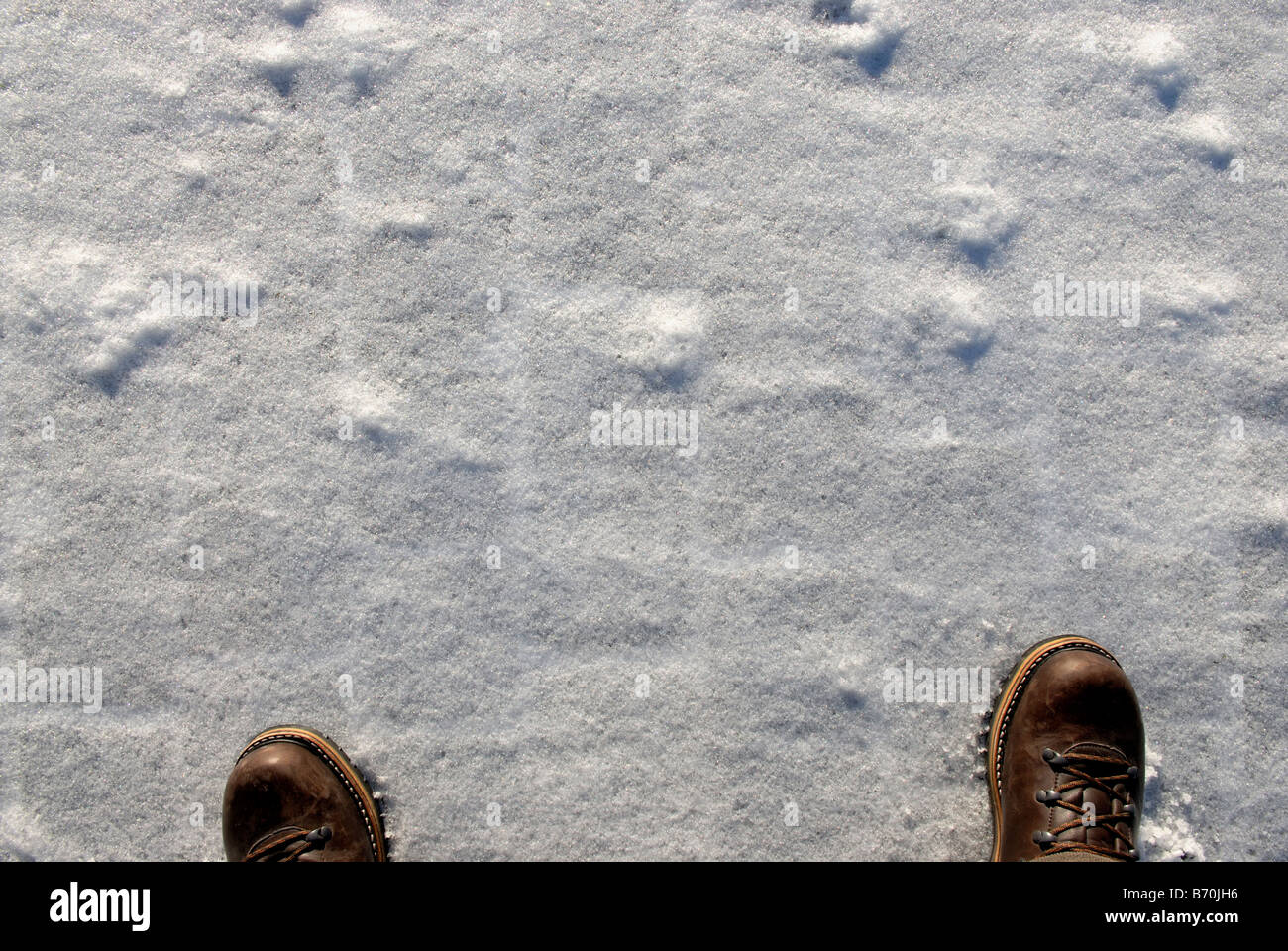 NEWLY FALLEN SNOW Stock Photo - Alamy