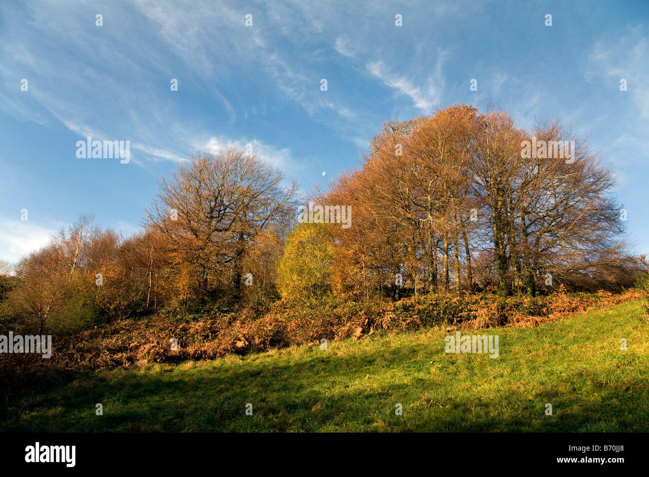 Trenant hi-res stock photography and images - Alamy
