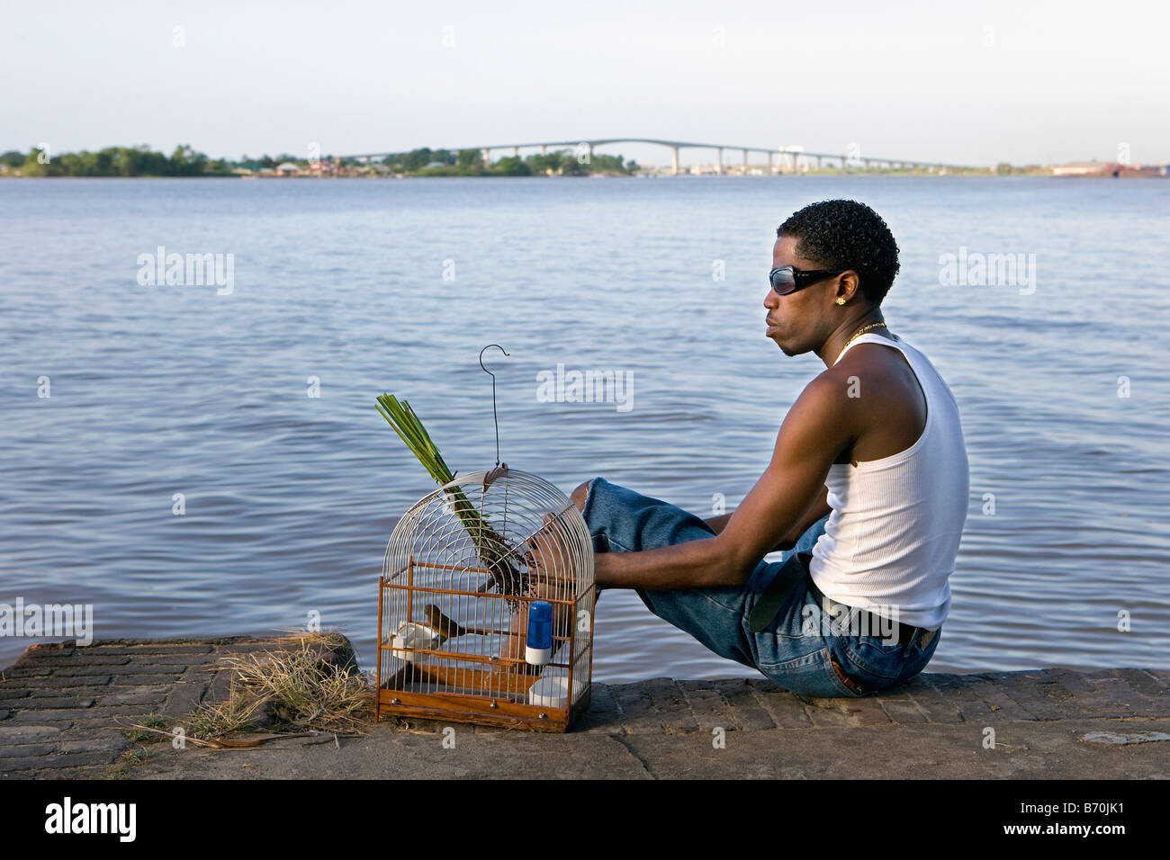 Suriname, Paramaribo. Creole man and singing picolet bird, eating rice ...