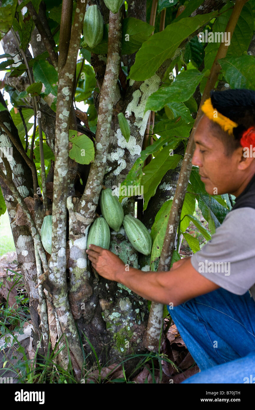 Suriname, Kwamalasamutu, home of indigenous Indians. Trio Indian ...